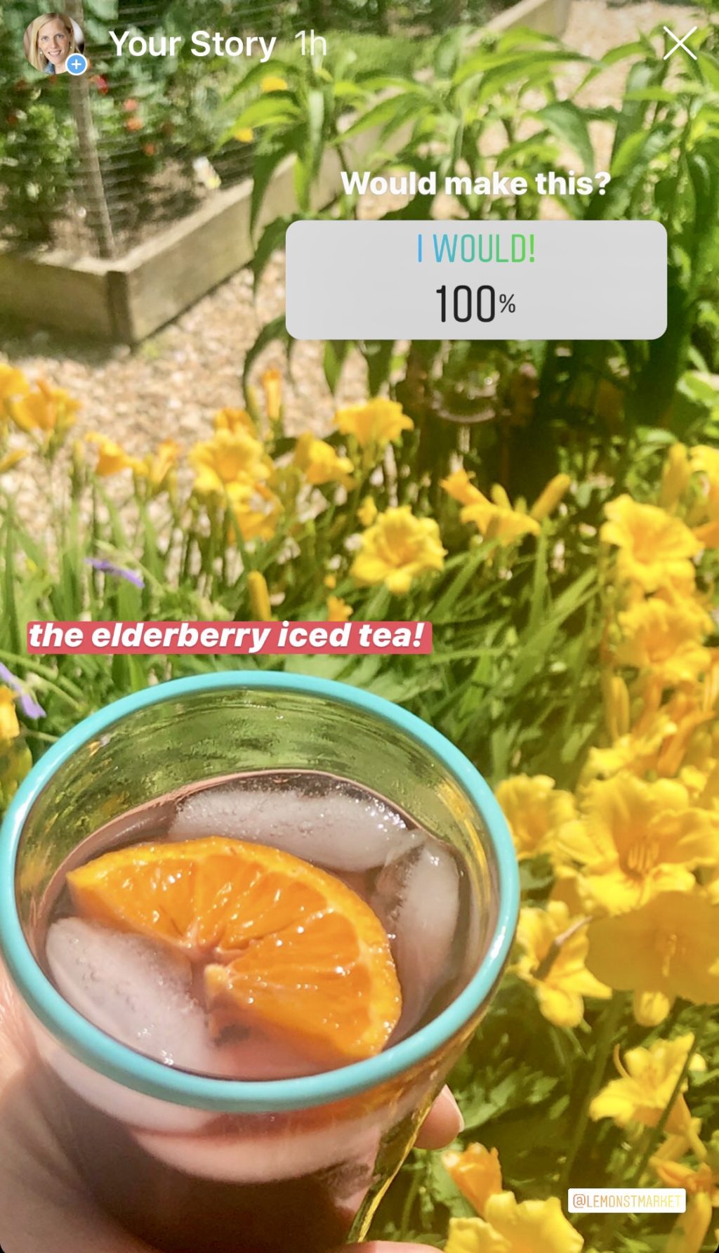 Elderberry Iced Tea – The Fountain Avenue Kitchen